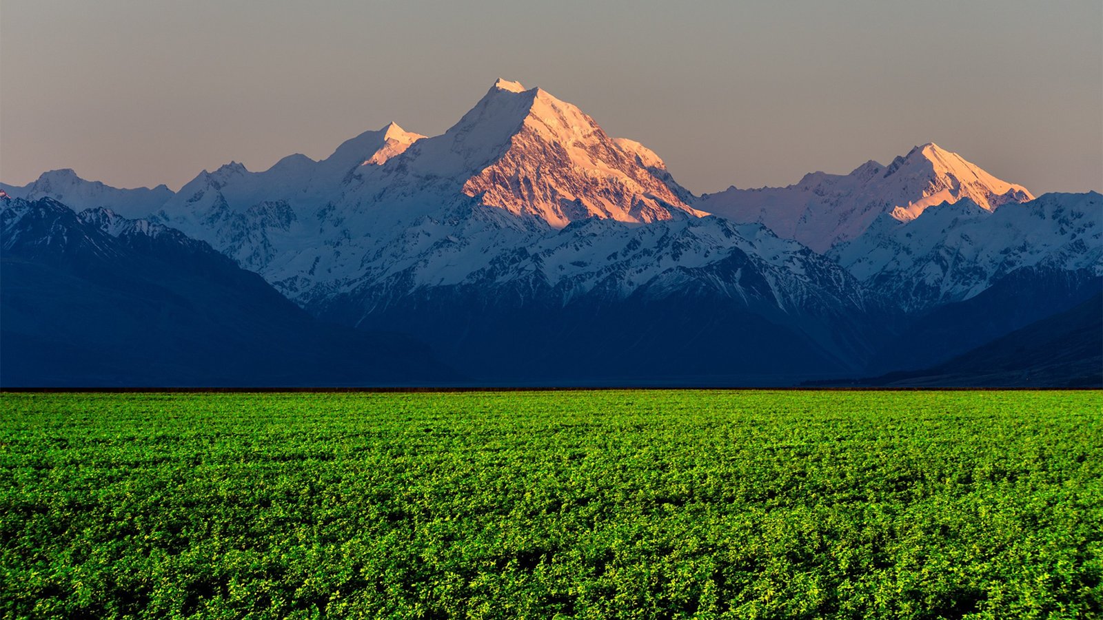 nkvod6.com WHOIS查询 - InterNetX GmbH | 全民博客：域名WHOIS查询工具