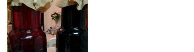 家庭自酿葡萄酒的方法及注意事项360新知