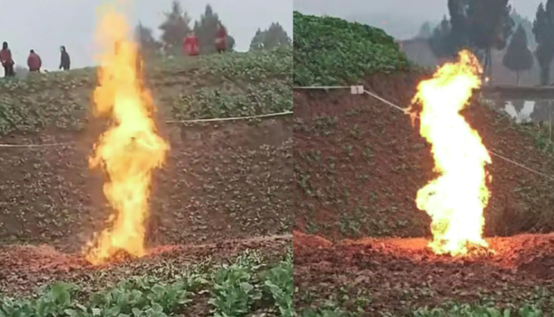 一菜地自燃数天未灭